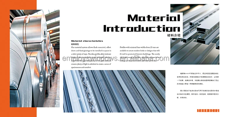 Forster Profile Steel Door Frame Pivot Entry Doors Modern Tempered ...