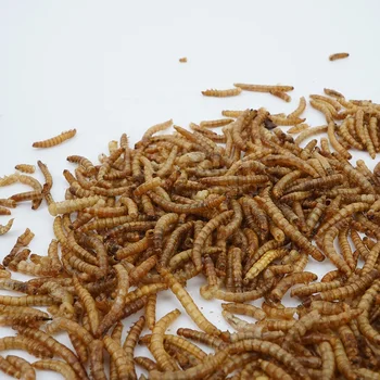 Customised Eco-friendly High Protein Nutritious Microwave Dried ...