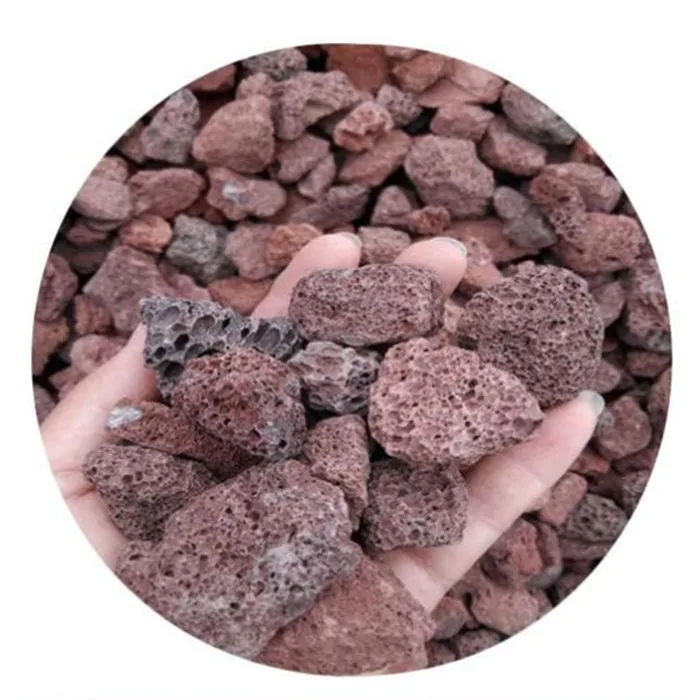 Pumice Igneous Rock