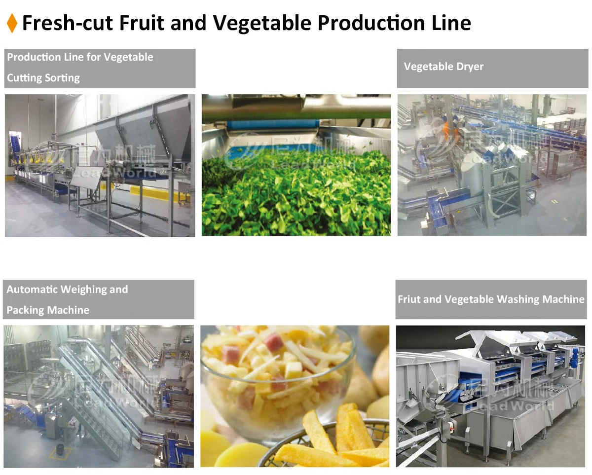 VEGETABLE FRUITS CLEANING WASHING LINE - Leadworld OEM