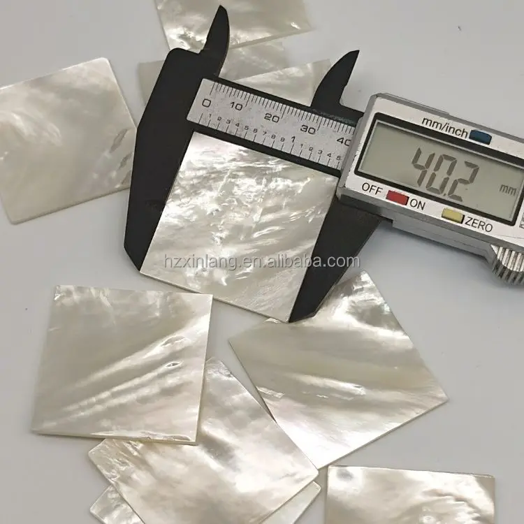 Natural 40mm Shell Sheets - Perfect for Jewelry Making