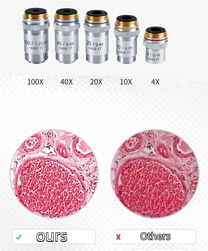 Educational Professional Laboratory Compound Optics Trinocular ...