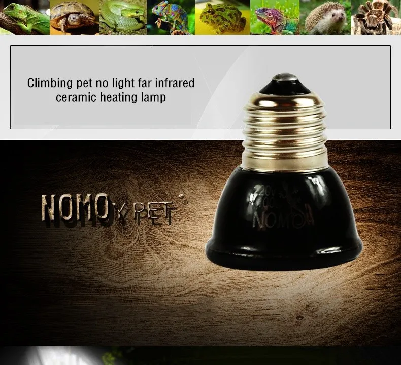 Small Infrared Ceramic Heat Lamp Reptile Emitter Bulb For Reptile Pets ...