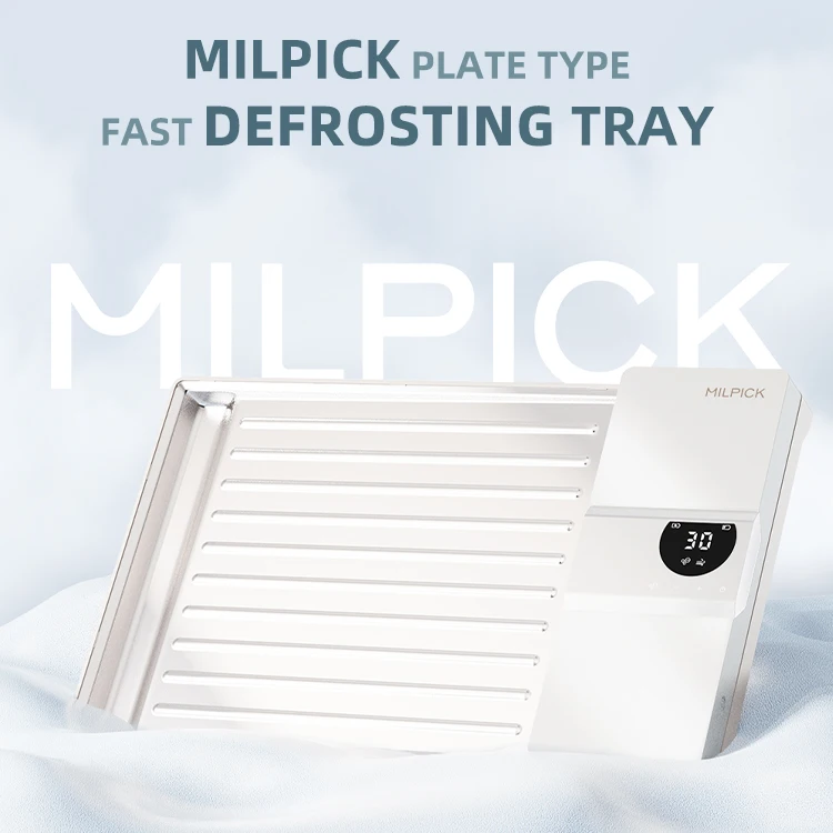 Newly Launched Household Food Shop Use Aluminum Fast Defroster Machine ...