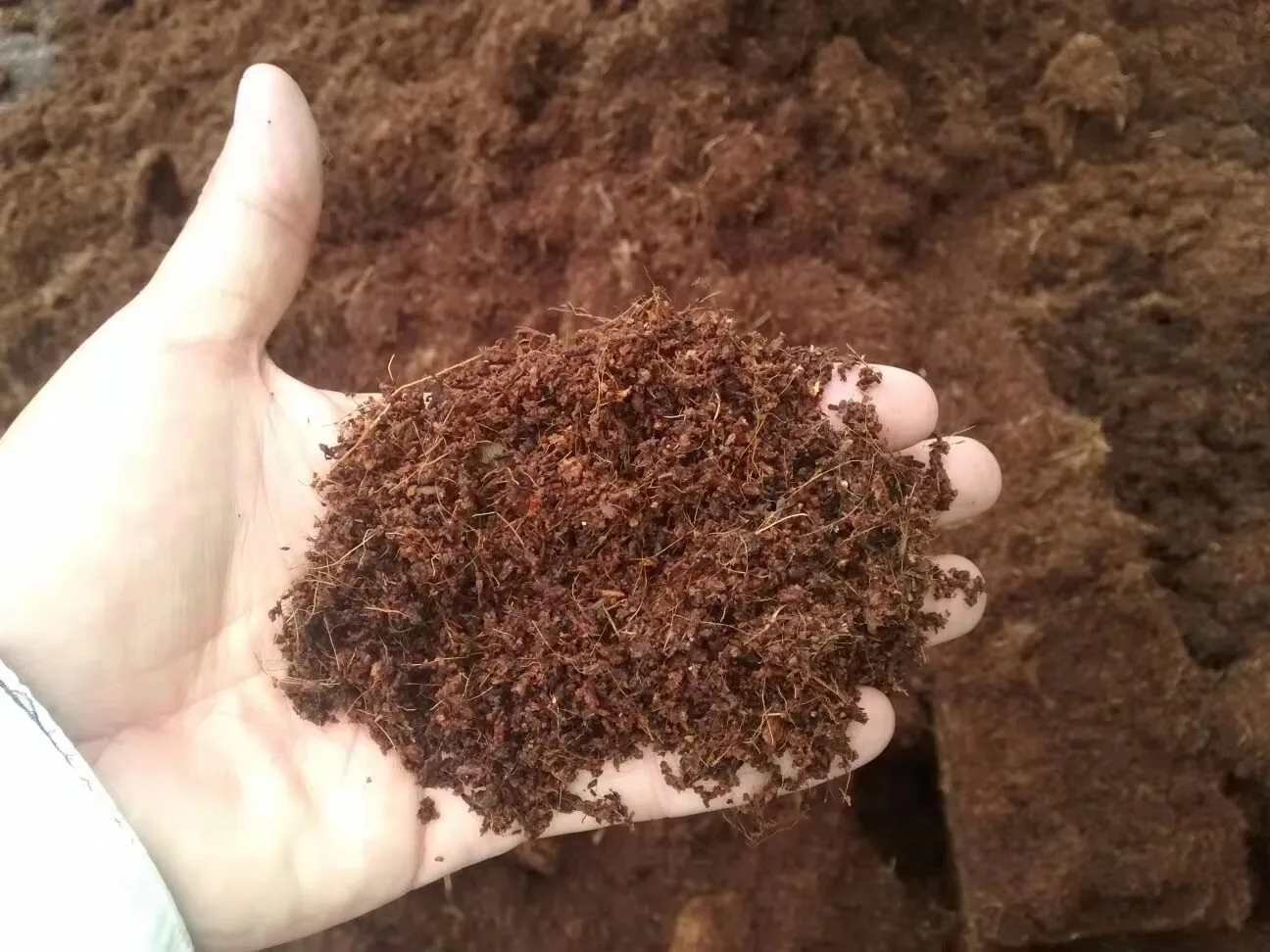 Raw Compressed Coco Peat Coco Coir Coconut Bricks Coco Treated Soil ...