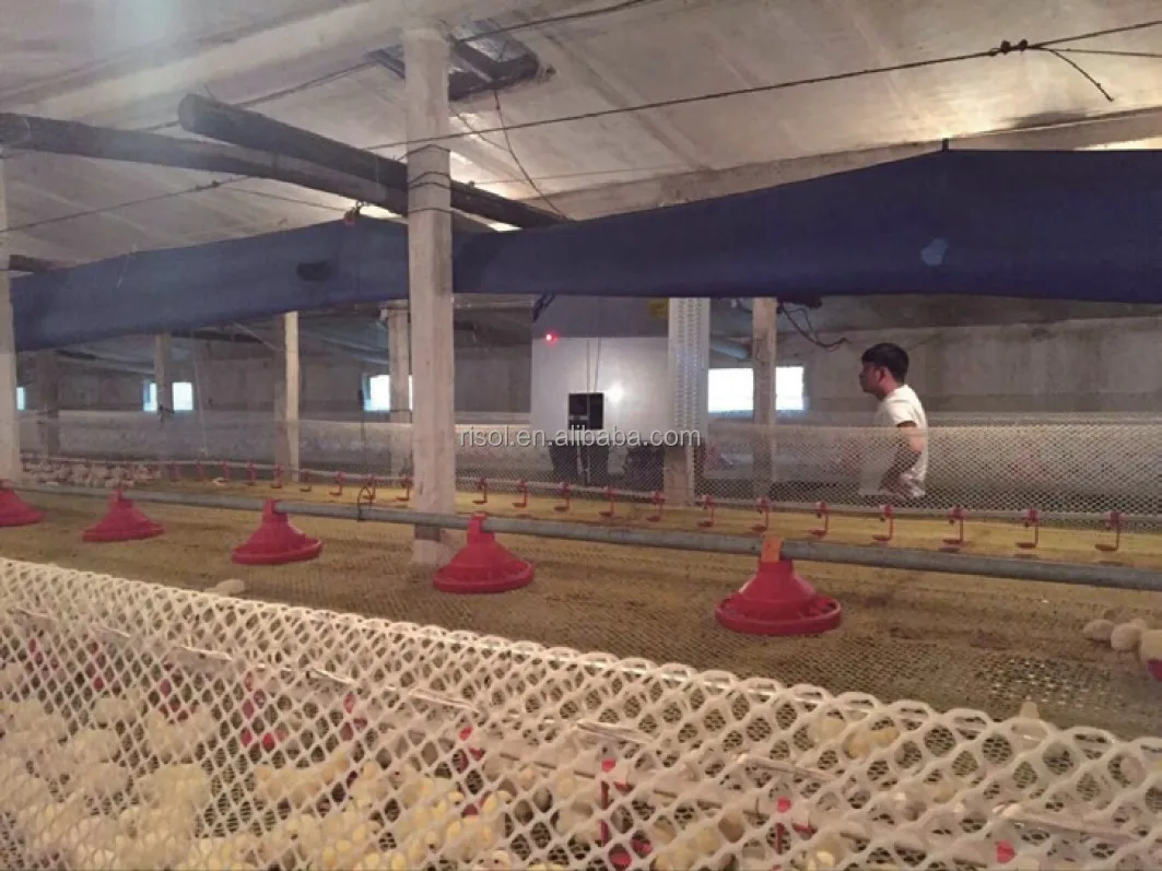 Chick Brooding Equipment Gas Heater Chicken Brooder Automatic/Manual ...