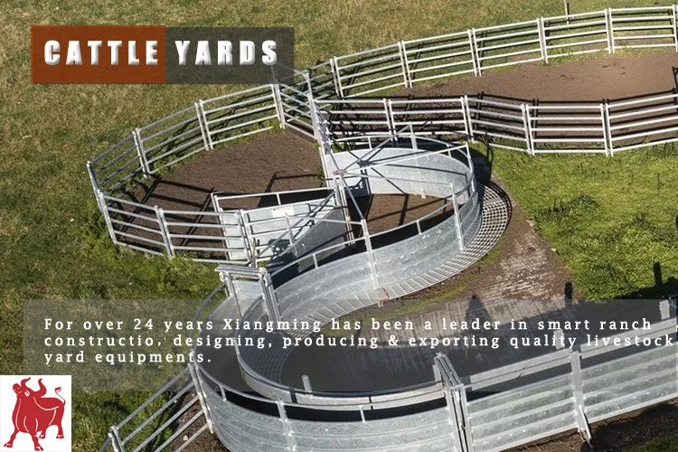 XMI Safety Force Cattle Yard Popular Quality Cattle Safety Force Yard G ...
