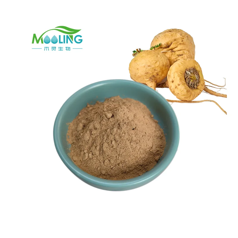 Wholesale Bulk Energy Enhance Supplement Maca Extract Maca Root Extract ...