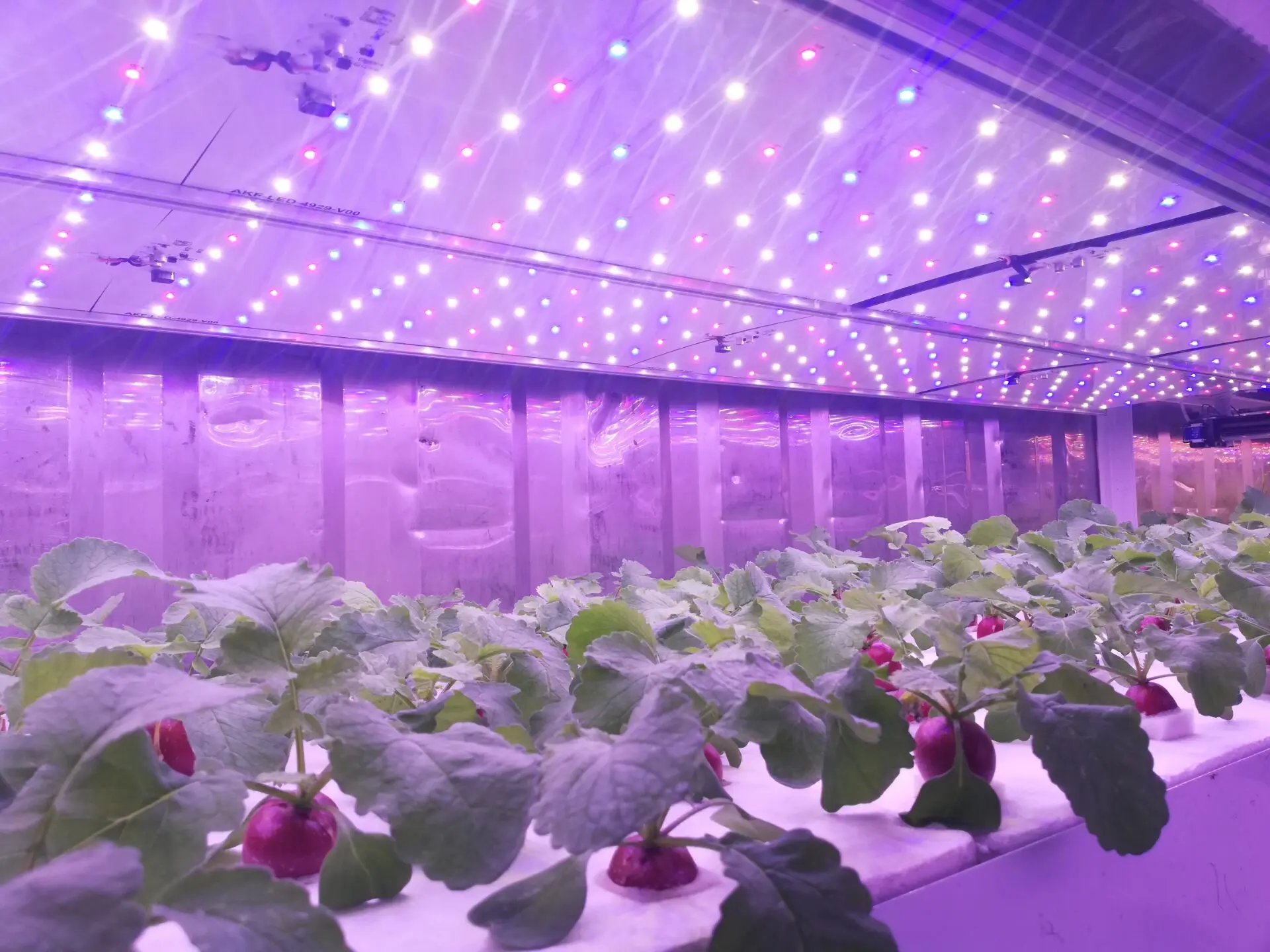 Skyplant 40HQ Freezer Shipping Container Farm Hydroponic Fodder Growing ...