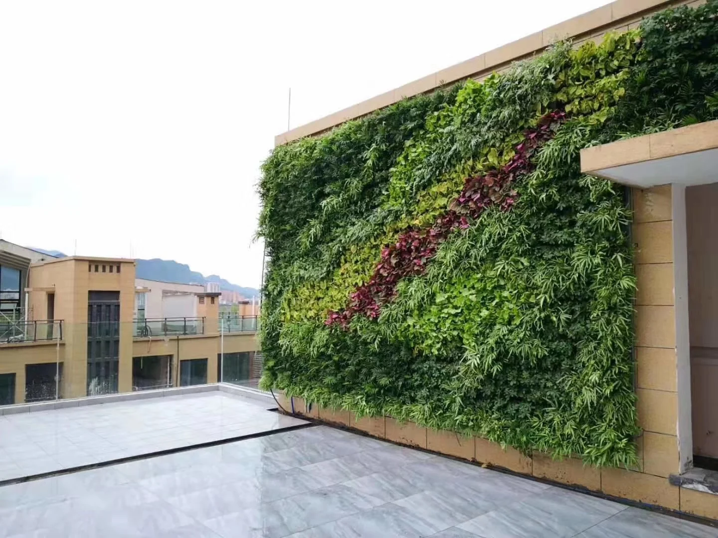 Self Watering Green Wall Pot - Vertical Gardening Solutions