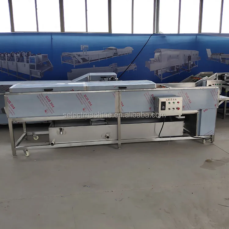 Industrial Conveyor Brush Roller Type Sweet Potato Radish Citrus Orange ...