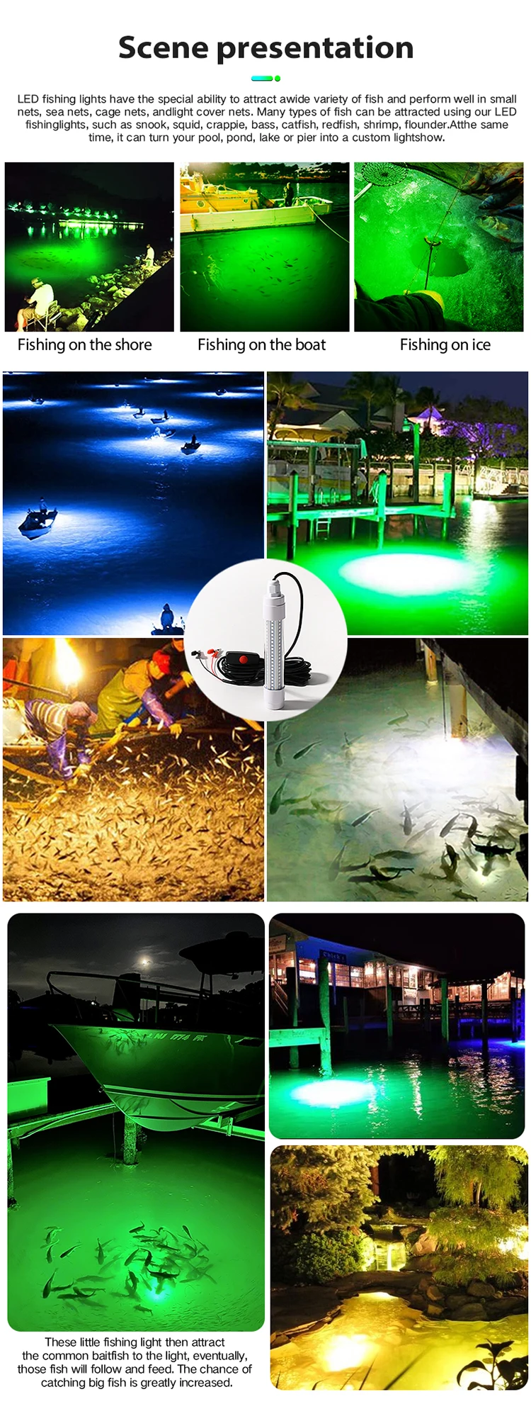 Decoy Catcher Led Fish Trap Trapper High Lumen Attract Fish 12v Led ...