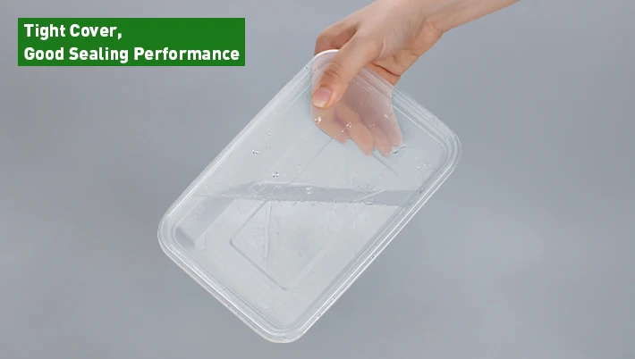 Wholesale Clear Take Out Boxes - Polypropylene Containers