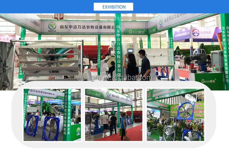 Various Type Ventilation Circulation Cooling Exhaust Fan For Cow/cattle ...