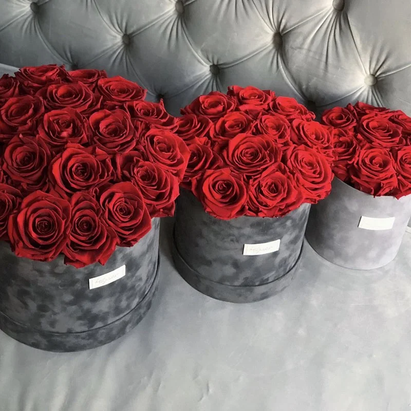 Preserved Flowers Bouquet Rosas Round Flower Box Everlasting Forever ...