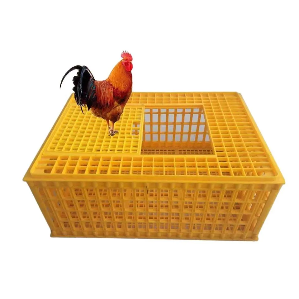 Hot-selling Chick Plasticturnover Box Live Chicken Transport Cage ...
