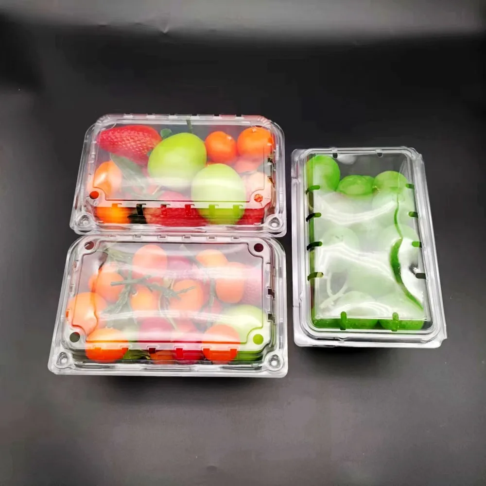 Clear Plastic Fruit Container 1lb Disposable Blister Pet Clamshell ...