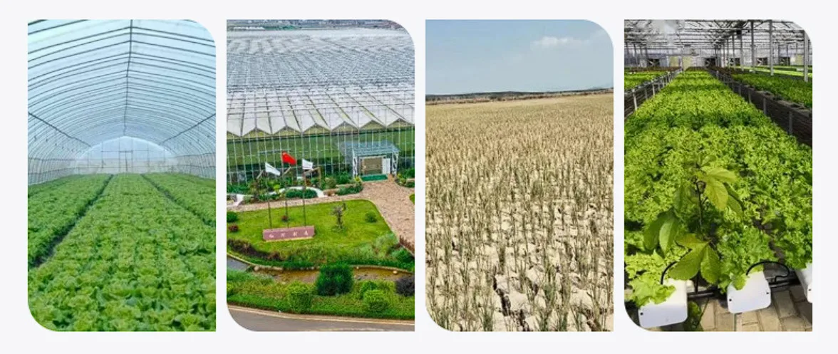 Linyao-automated Fertigation Control System For Hydroponic Greenhouse ...