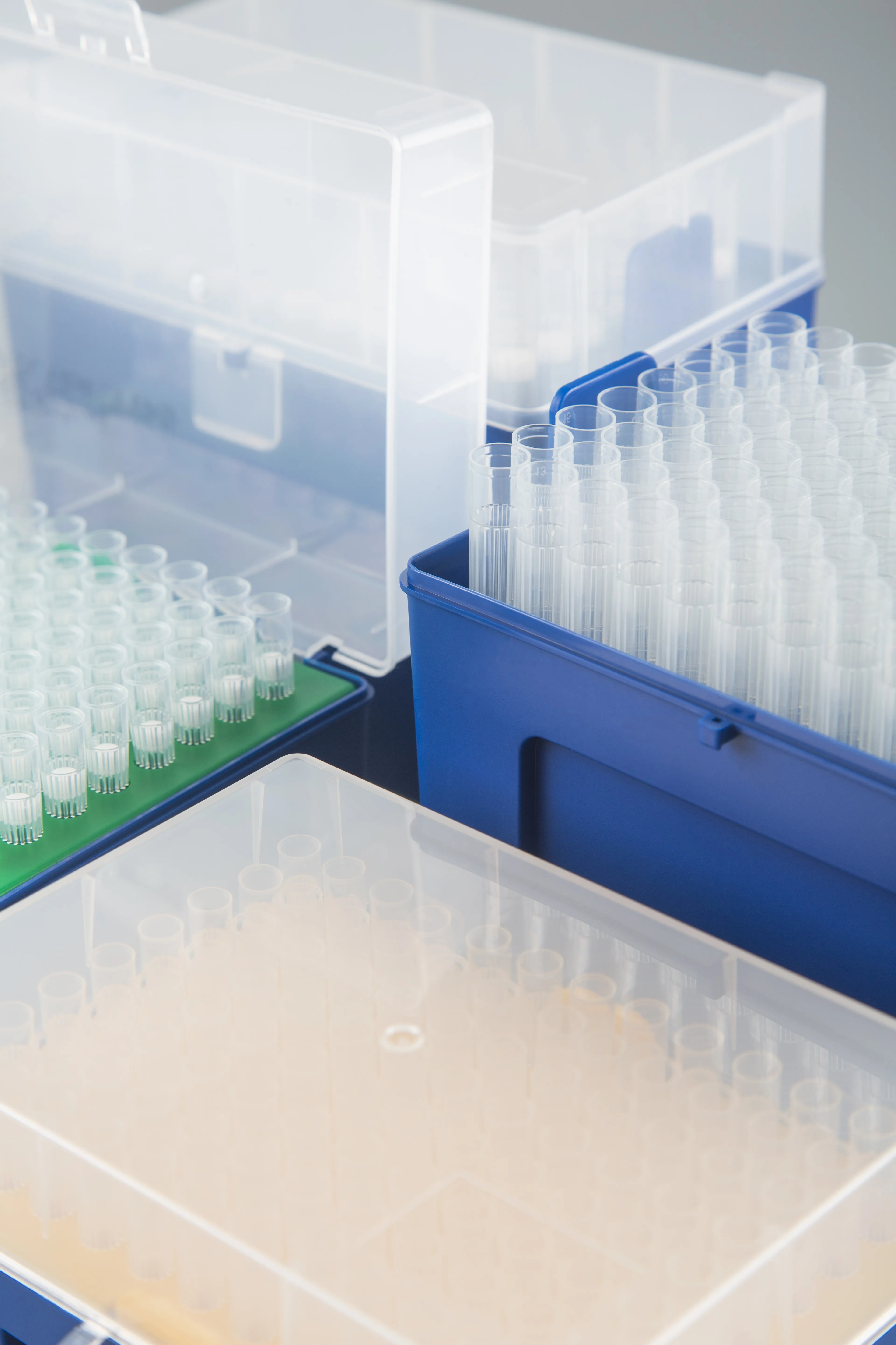 20ul Pipette Tips - Sterile & Disposable Laboratory Equipment