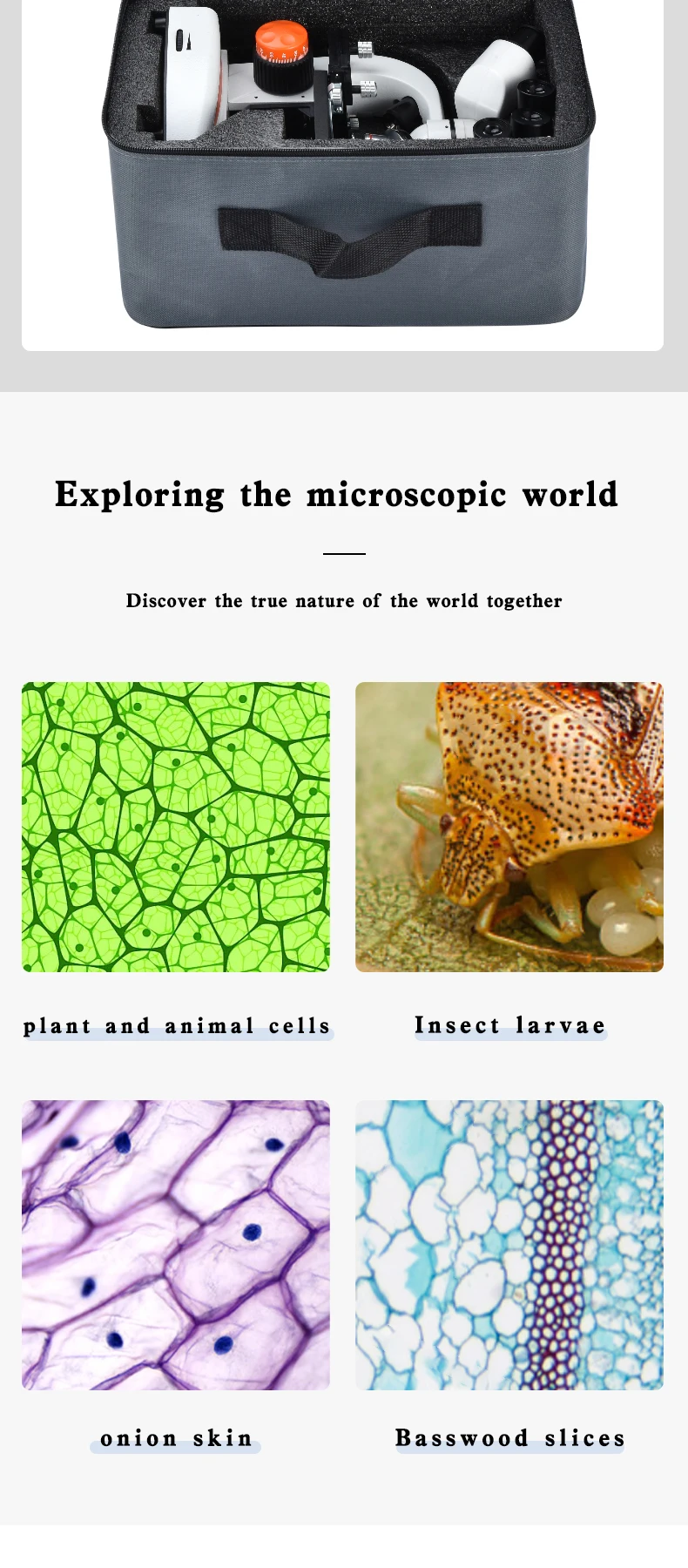 LUXUN 1200X Microscopio Customized Laboratory Microscope Binocular ...