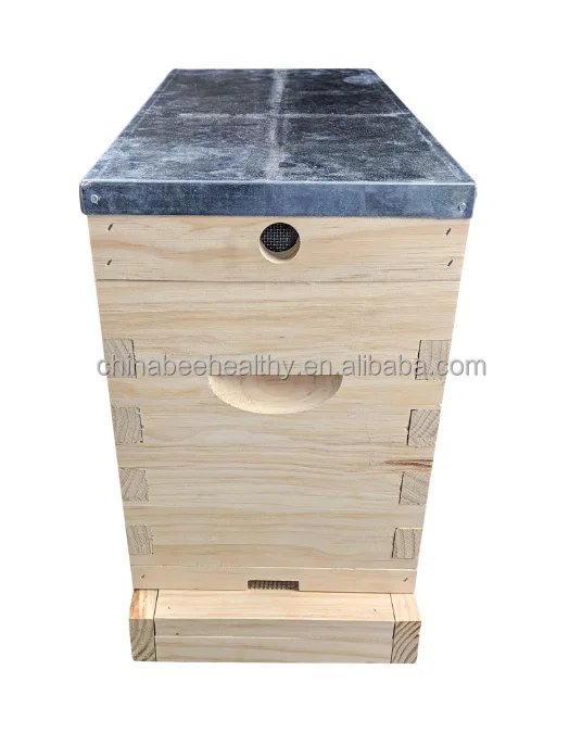 Beekeeping Nucleus Beehive Kit - 5 Frame Nuc Hive & Bee Hive Components