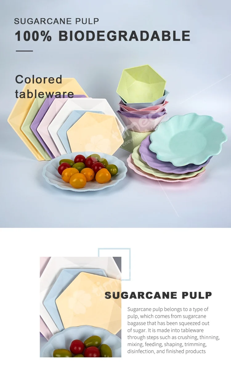 Bagasse 16oz Soup Salad Bowl Food Container Assorted Color Soup Bowl ...