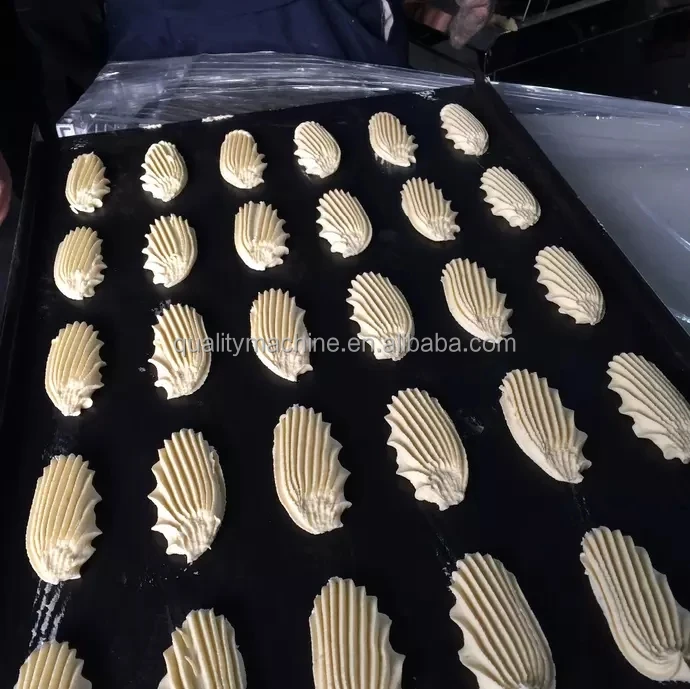 Small Biscuit Making Machine - Multifunctional & Efficient