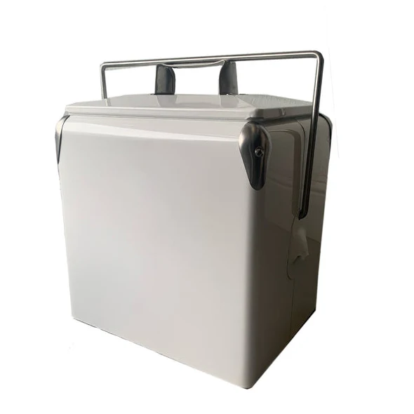 Small Ice Cream Cooler Chilly Box Chest Throwback Luxury Beverage Pink ...