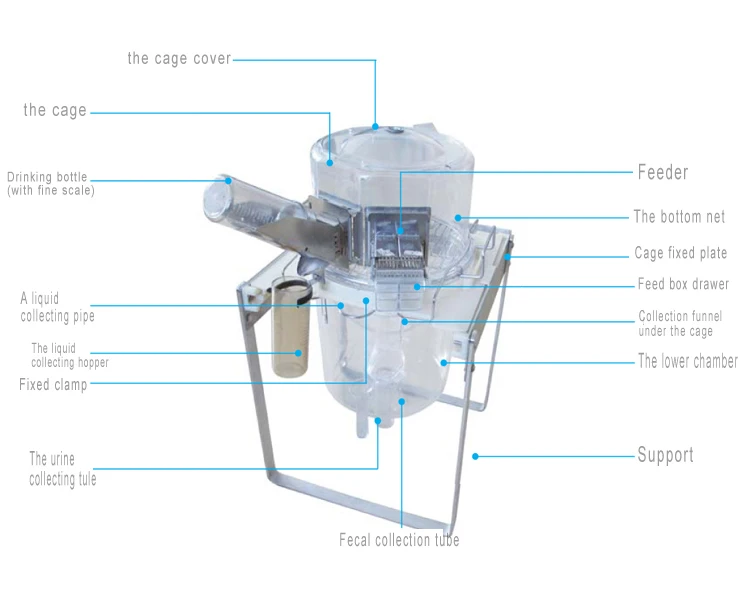 Plastic Metabolic Cage With Stainless Steel Rack, Laboratory Animal ...