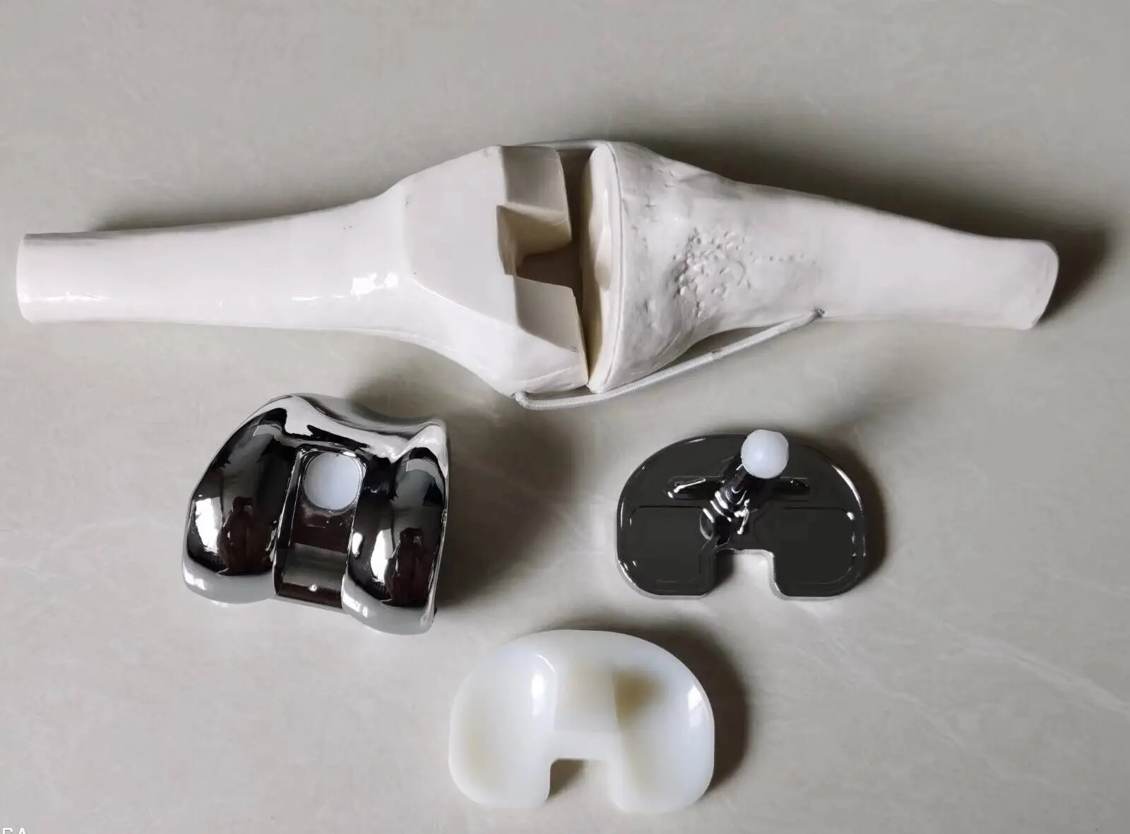 Kyrenmed Transparent Knee Replacement Model - Advanced ABS