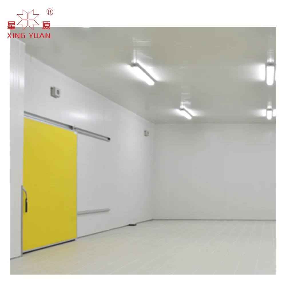 Cold Storage Room Door Hinged Sliding Door for Walkin Coolers| Alibaba.com