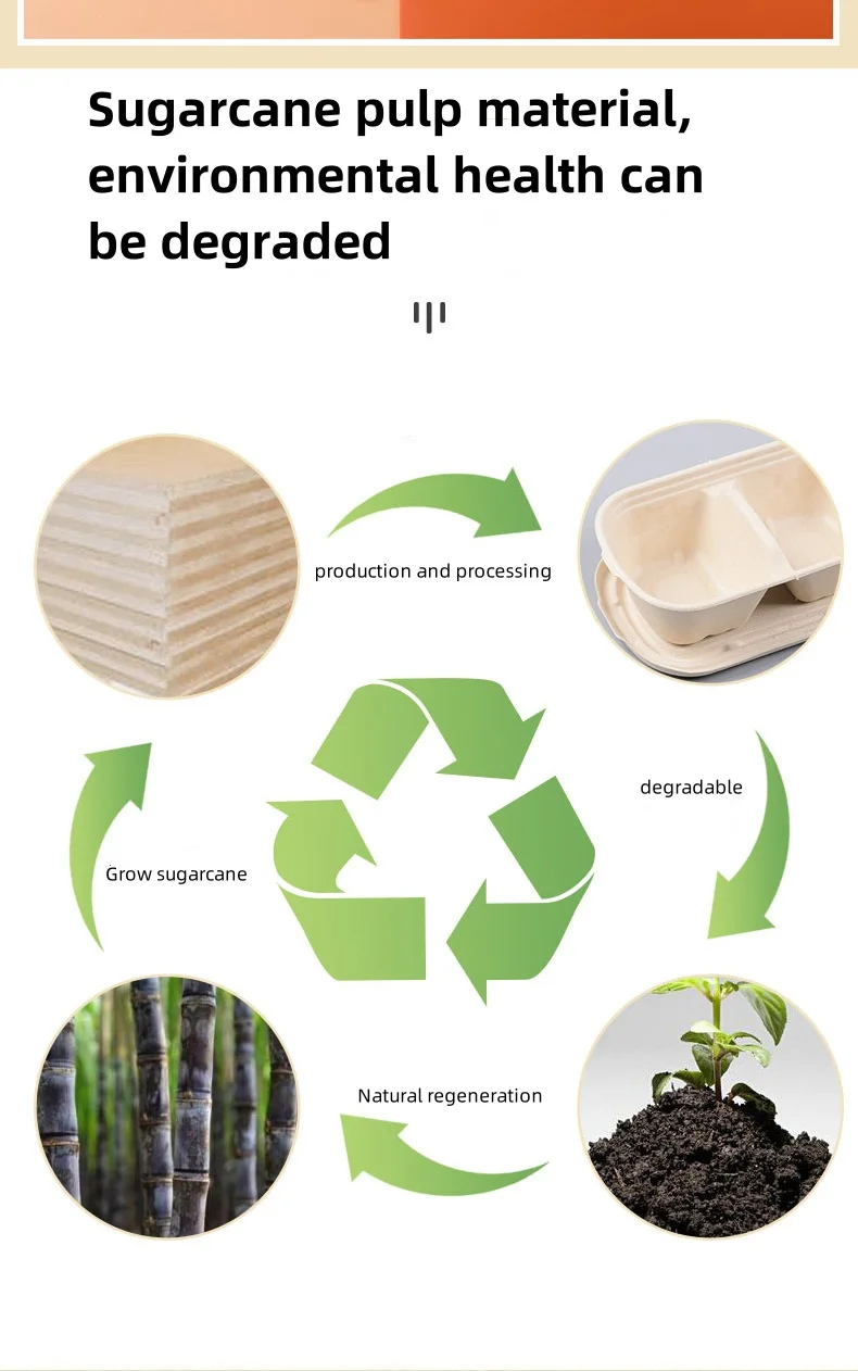 Disposable Biodegradable Sugarcane Bagasse Food Container Takeway Fast ...