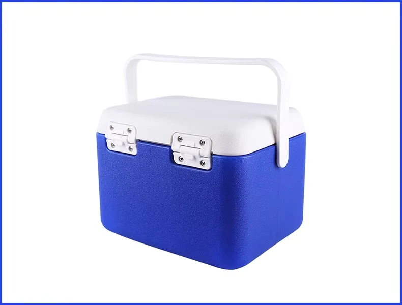 5 Liter Cooler Box for Day Trips and Errands for Storing and ...