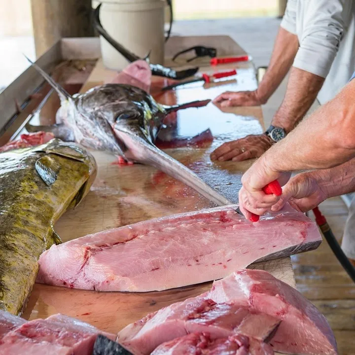 Organic Swordfish IQF Frozen Fillet High-Grade 20kg Indian Ocean Wild ...