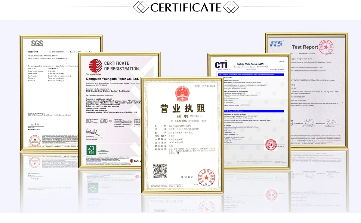 Nine Dragons 230gsm to 400gsm Folding Box Board for Packaging