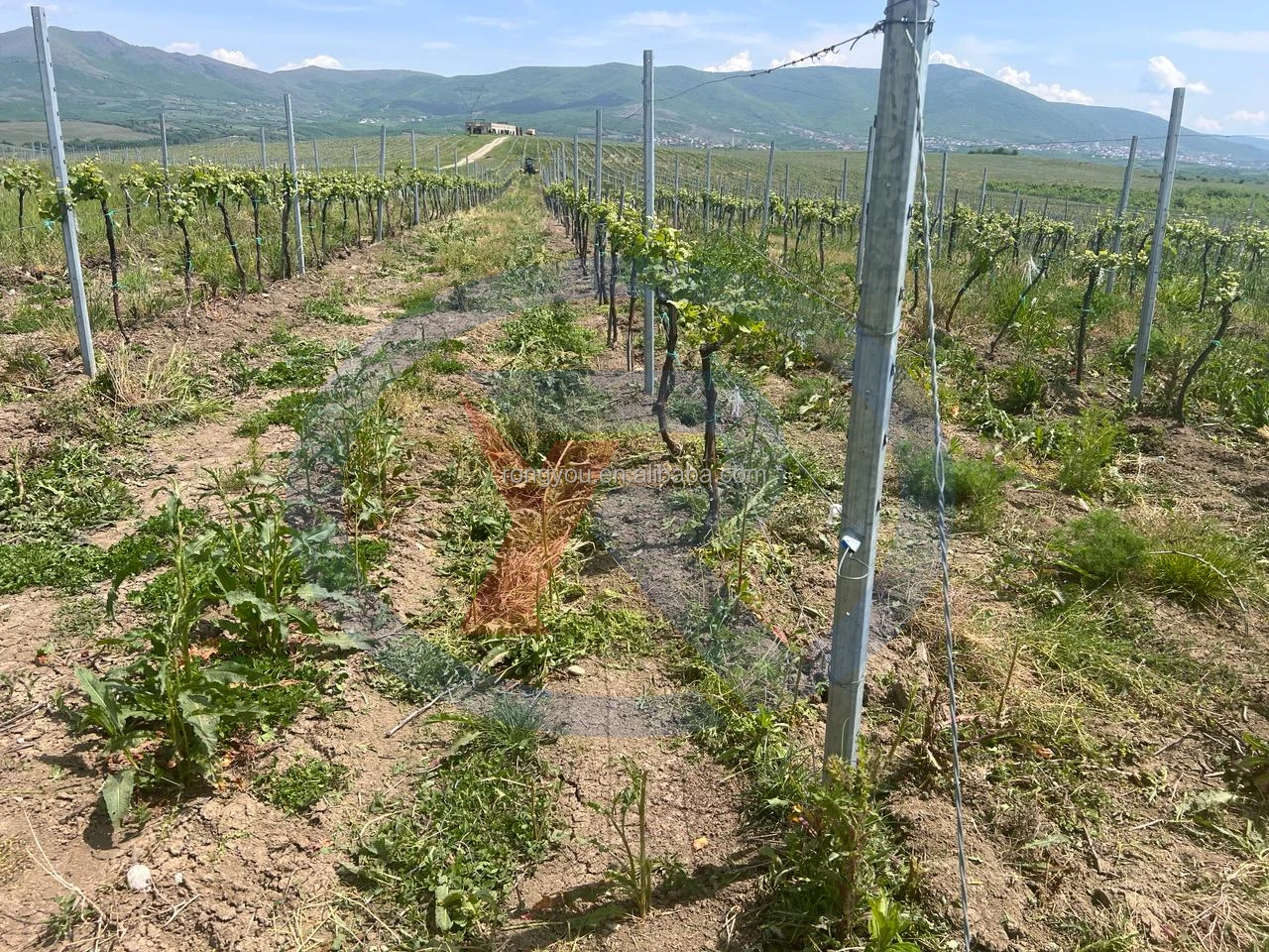 Galvanized Metal Rods for Vineyard Trellis & Orchard Fencing