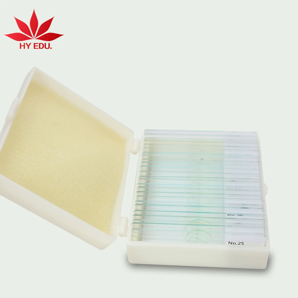 25 pieces of algae learning science Botany microscope prepared slides ...