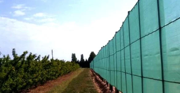 Windbreaking Net - Effective Dust Suppression for Agriculture