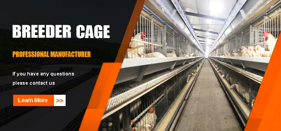 H Type Poultry Cage Remote Monitoring Chicken Rooster Battery Cages ...