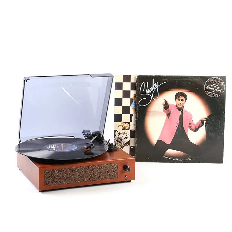 Multi Record Record Player - High End Vinyl Turntable