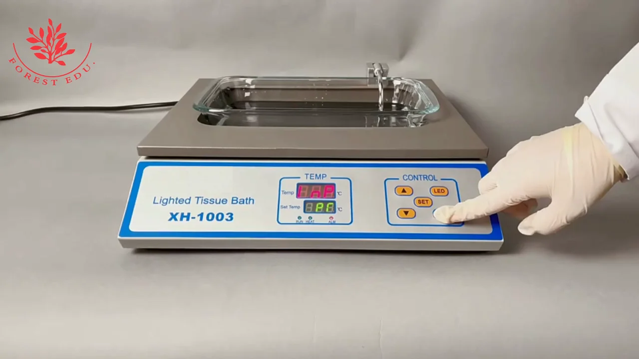 Tissue Floatation Processor Diagnostics Lab Thermostatic Equipment ...