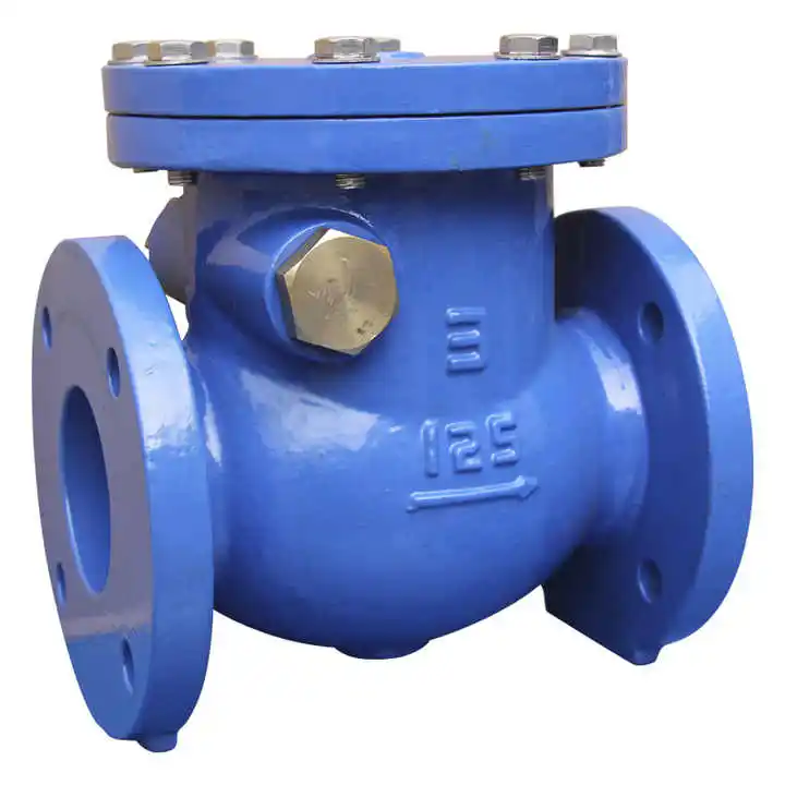 Dn150 6 Inch Pn16 Double Flange Type Cast Iron Non-return Swing Check Valve - Buy Dn150 6 Inch ...