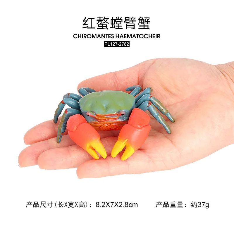 Solid PVC Simulation Sea Life Models - Educational Toys