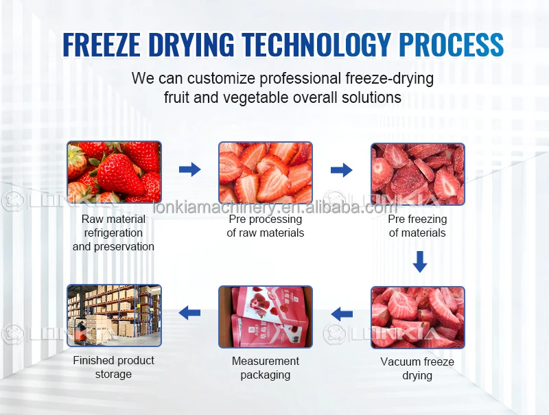 Industrial Vacuum Freeze Drying Machine Vacuum Freeze Dryer for Food ...