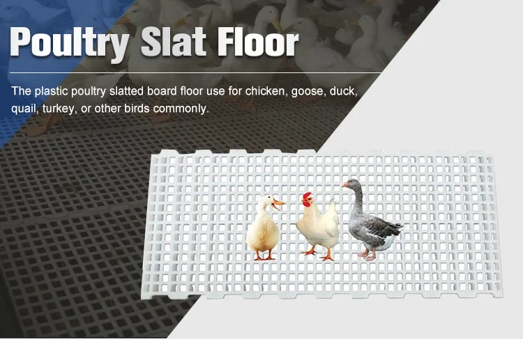 Plastic Slat System for Animal Equipment - Durable & Efficient