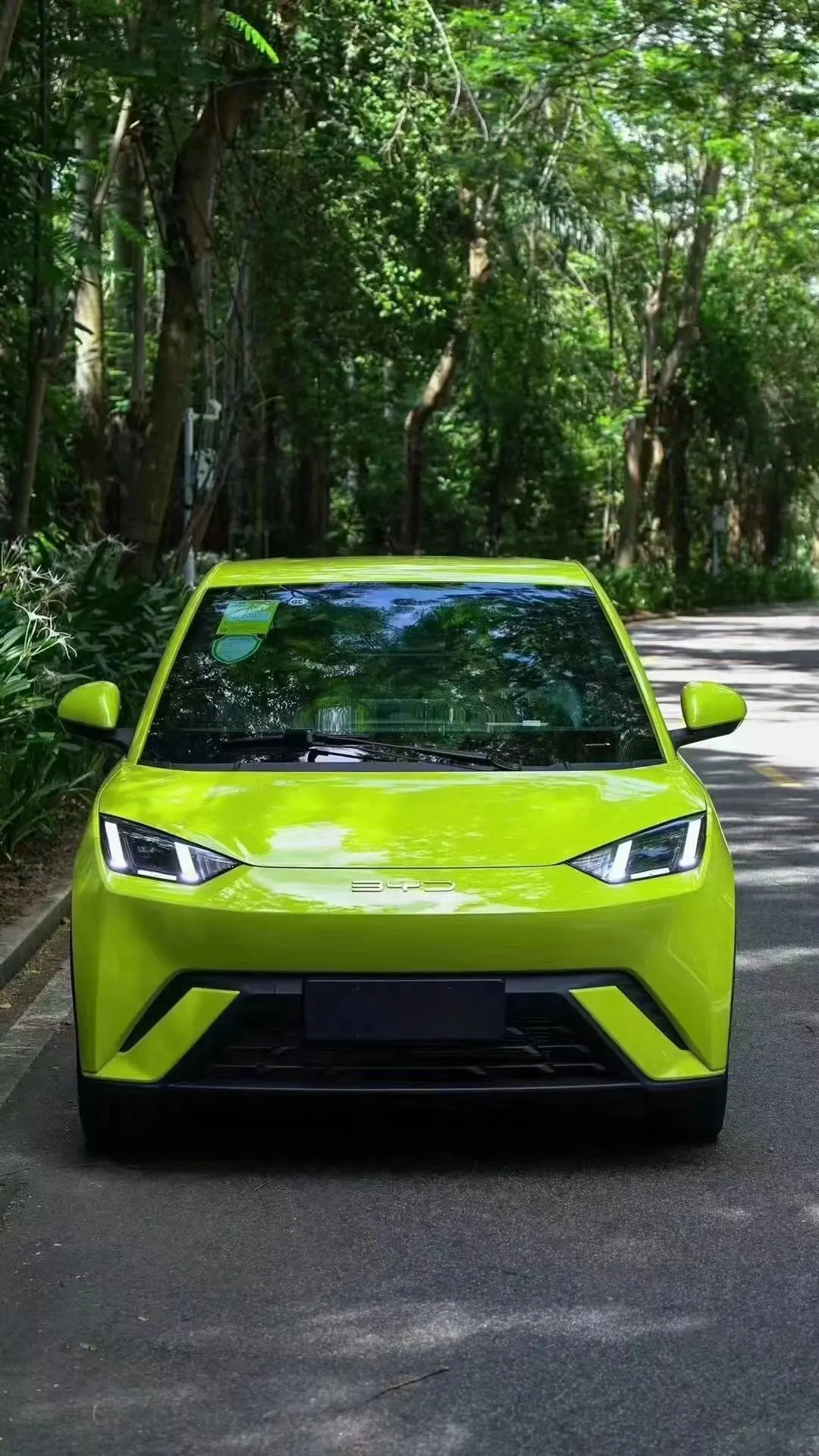 Byd Dolphin Ev 2024 New Energy Hatchback Cars 301km Pure Electric Car 4 Wheel Long Charging ...