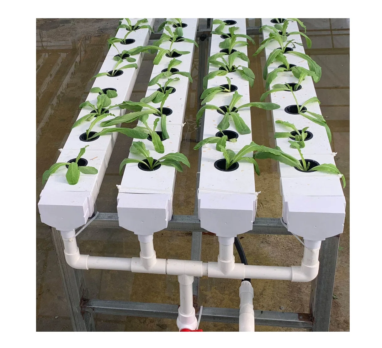 Greenhouse Commercial Plant Hydroponics Nft System with Vertical ...
