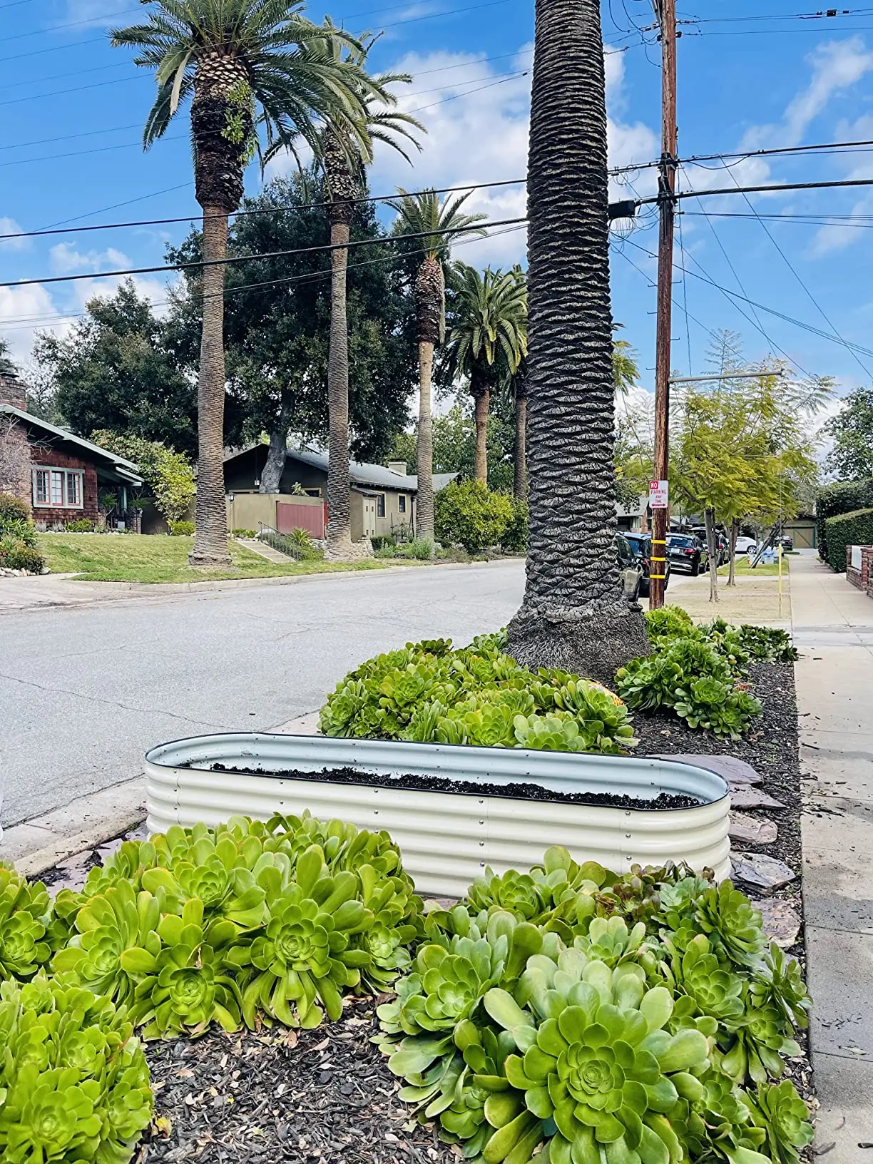 Galvanized Raised Box Kit Galvanized Planter Raised Boxes Outdoor Oval ...