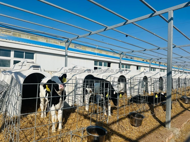 Livestock Reinforced Calf Cages - Durable & Customizable