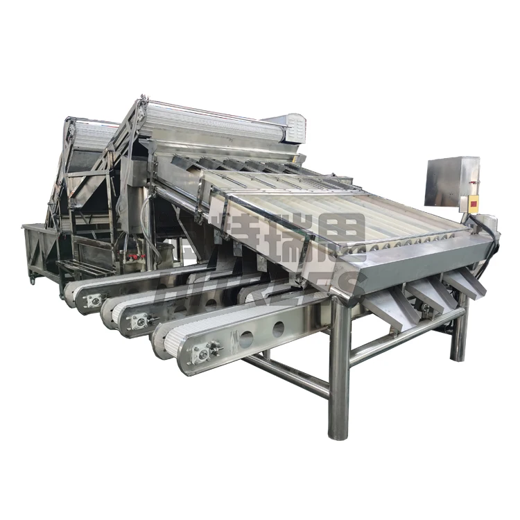 Shrimp Grading Line Prawn Sorting Grader Machine - Buy Shrimp Grading ...